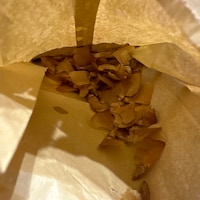 100 japanische Quittensamen. 100 frische Samen Chaenomeles japonica ...