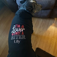 Best Friends Dog and Baby Set Baby and Dog Matching Outfit - Etsy Canada