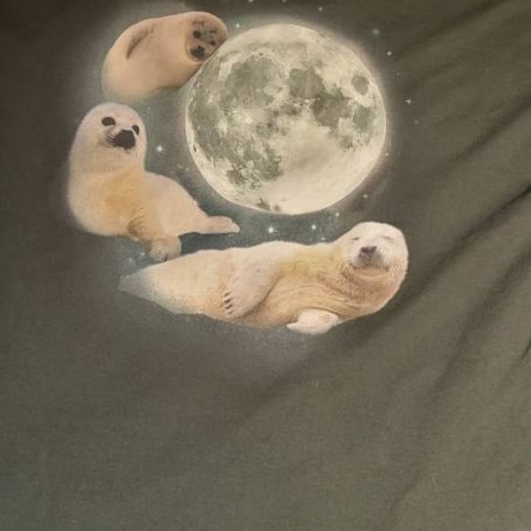 Three Baby Seal Vintage Graphic T-shirts, Retro Sea Dog Moon Tshirt ...