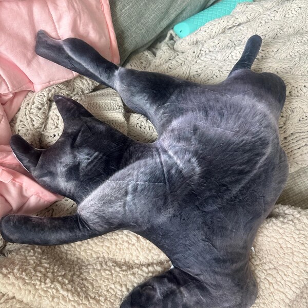 Moo Deng | Moo Deng Keychain | Moo Deng | Hippo Car Accessories | Moo ...