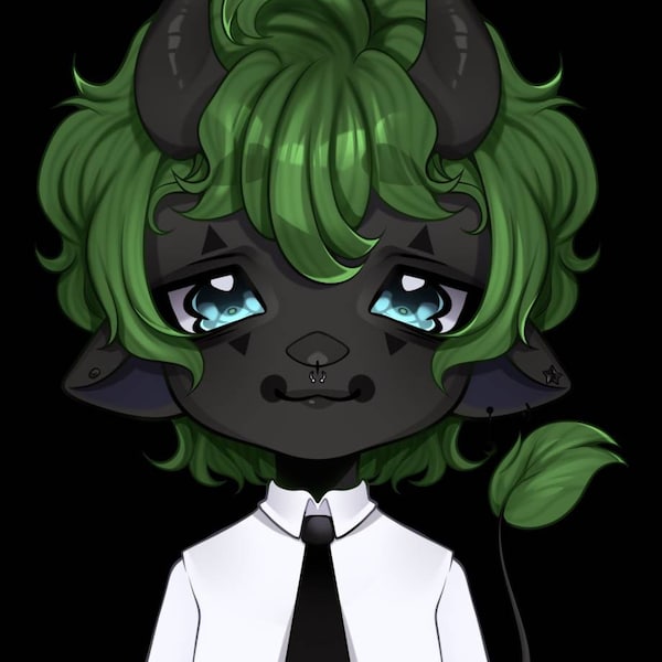 Custom Png-tuber - Etsy