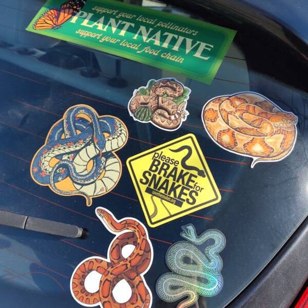 MULTIPLE TYPES Blood Python Sticker Borneo Sticker Magpie Ivory - Etsy