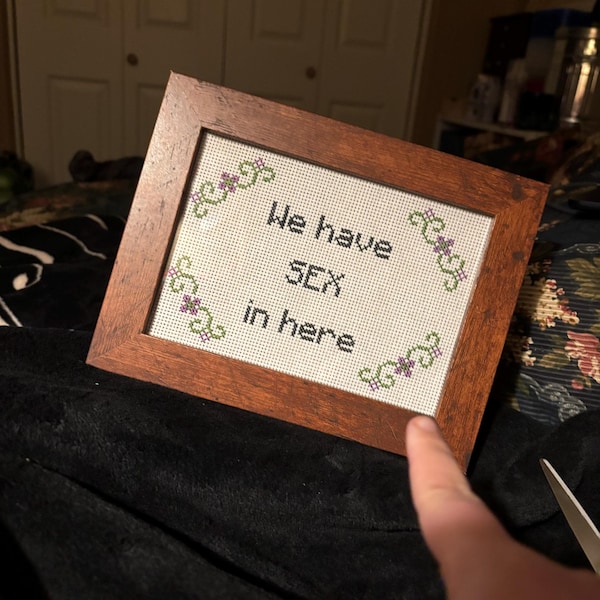 Dirty Cross Stitch Pattern - PDF Download - "we Have Sex in Here ...
