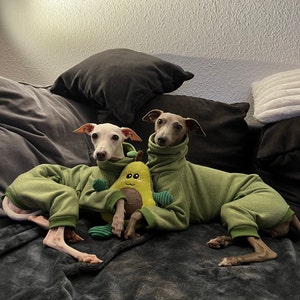 Sewing Pattern for Italian Greyhound Coat / Jacket / - Etsy