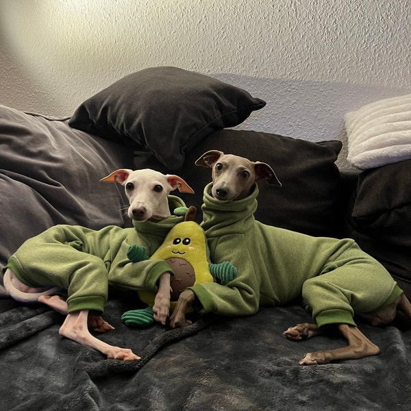 Sewing Pattern for Italian Greyhound Coat / Jacket / Waterproof ...