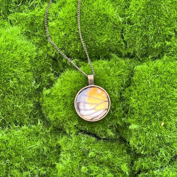 Reall Butterfly Wing Necklace - Etsy