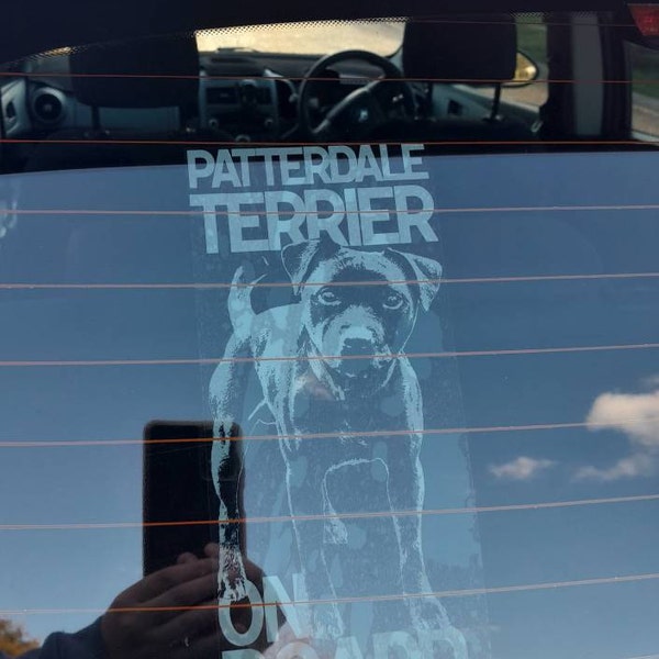 Cane Corso on Board - Car Window Sticker - Beware of the Dog Italian ...