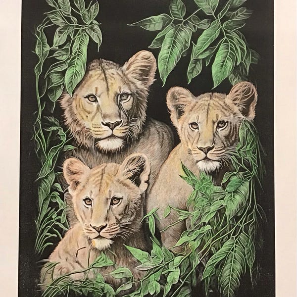 Bigcats, Grayscale Coloring Pages Black Background, Adult Coloring Book ...