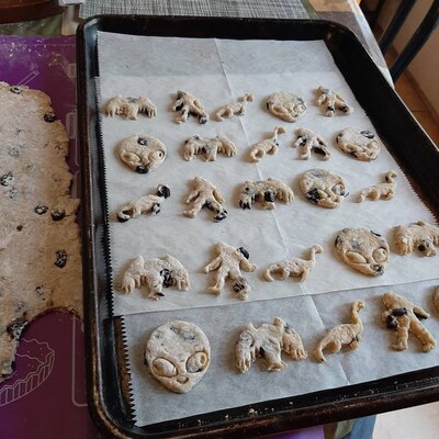 Cryptid Creatures Cookie Cutter Set / Bigfoot Sasquatch / Mothman ...