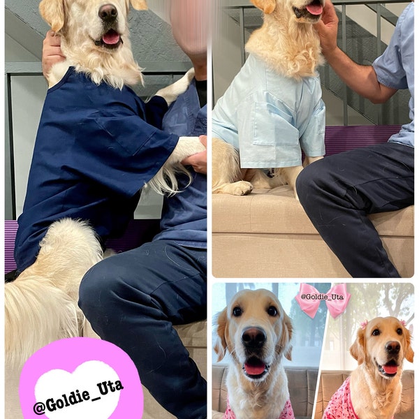 The Nun Dog Costume, Custom Order Request for DUCKY, Special Order the ...