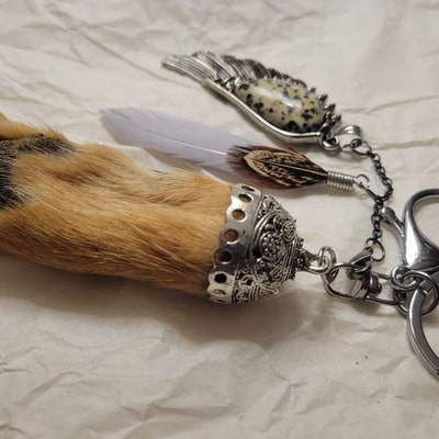 Saturn Atlas Moth Frame Specimen Entomology Taxidermy Curiosities ...