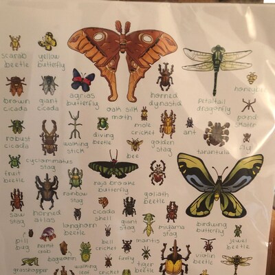All the Bugs in Animal Crossing Print - Etsy
