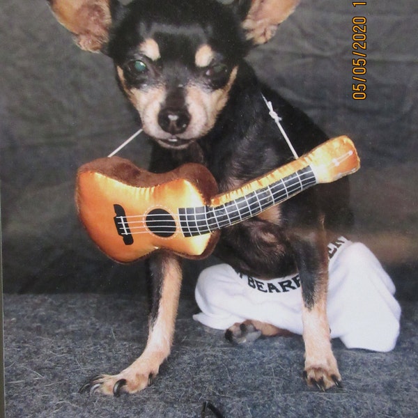 Turquoise Dinky Dots by Loralie Designs - Black Dots on Vibrant ...