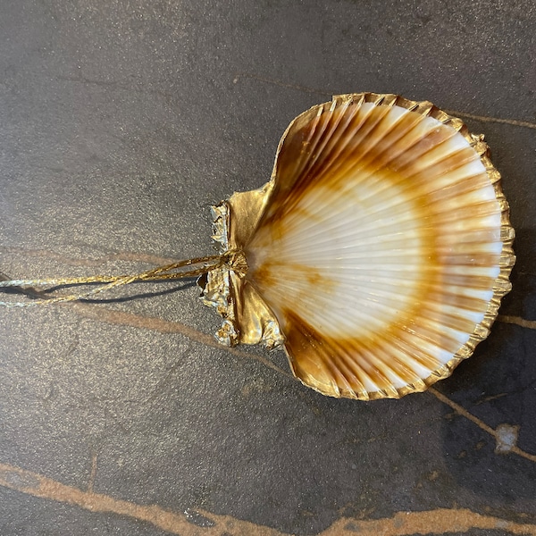 Hanging Shells Gilded Scallop Decorations Barnacle Shell Ornaments ...