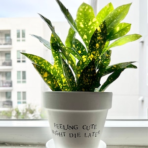 Mightier Than the Waves of the Sea Canvas Banner Psalm 93:4 - Etsy