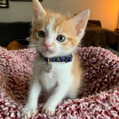 Brass Discs 1/8 Thick Discs , 8 Gauge , Heavy Duty Blank , Hand ...