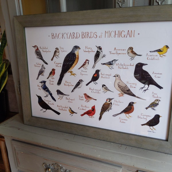 Michigan Backyard Birds Field Guide Art Print / Watercolor Painting ...