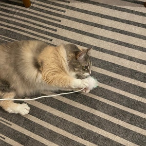 Bouncy Ball Real Rabbit Fur String Cat Toy - Etsy