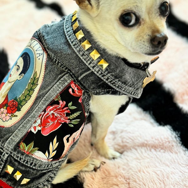 Large Punk Rock Dog Jacket/battle Vest Featuring Cute as Hell Baphomet ...
