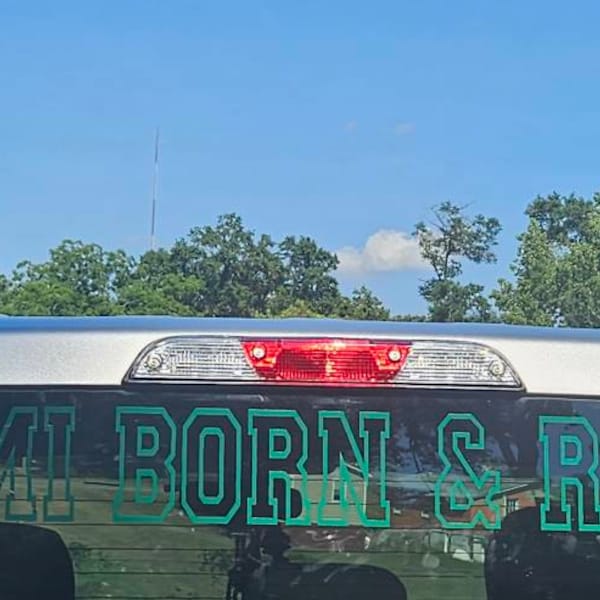 We the People Have Had Enough Decal - 2 Pack - High Quality and FAST ...