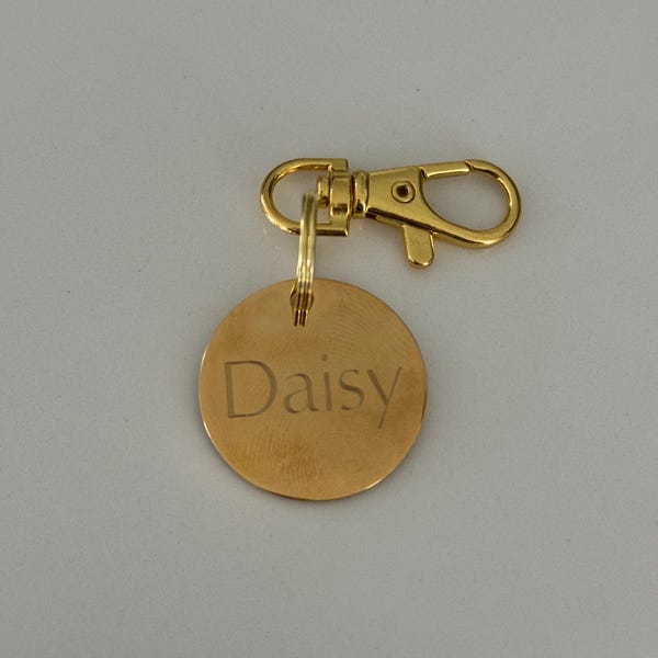Personalized Gold Dog Tag Custom Engraved ID for Dogs Microchip ...