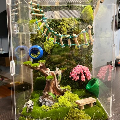 Magnetic Jumping Spider Mantis Staircase - Etsy