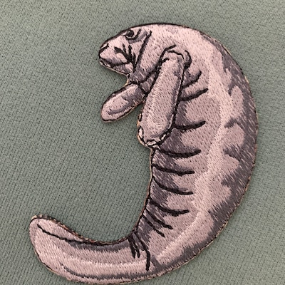 Adorable Manatee Iron on Patch - Etsy