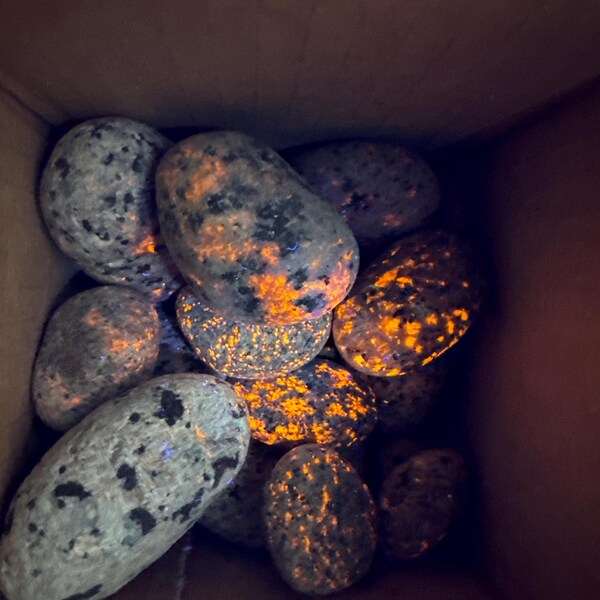 15.25oz, Fluorescent Sodalite, EMBERLITE, Yooperstone, Yooperlite, Lake ...