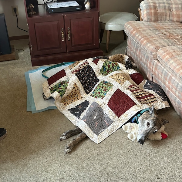 Textile Art Featuring a Greyhound Running Free, Leaping in a Full ...