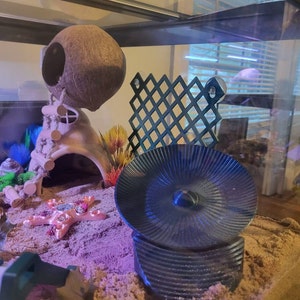 Aquarium Corner Cave Fish Tank Decoration, Axolotl Hide Underground ...