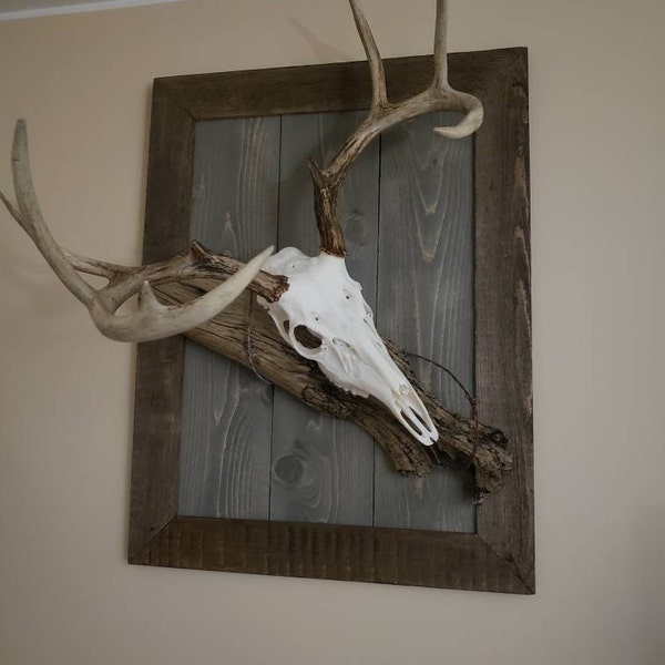 European Mount Plaque - Custom Built - Etsy