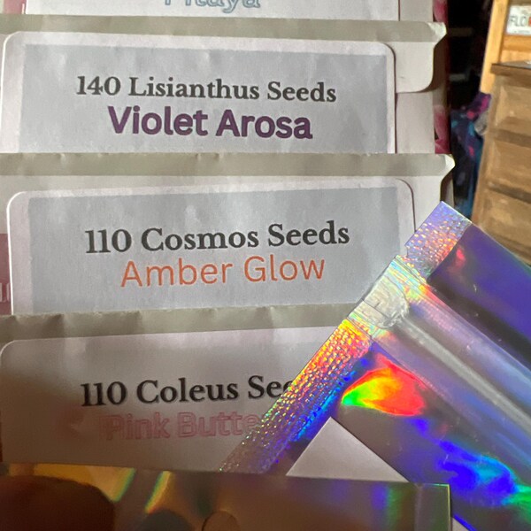 65 Columbine Seeds Blush Rose Flower Seeds, Heirloom Seeds, Non Gmo ...
