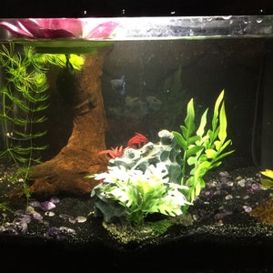 Cotton Buffalo Check Rug Christmas Doormat Black and White | Etsy