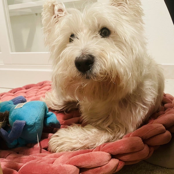 Cycle Shape Pet Tag,3d Printed Name Tag, Personalised Pet Tag, Dog Tag ...