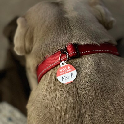 Lightning Bolt Pet ID Tag Dog Tag Key Chain Pet - Etsy