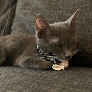 Cat ID tag with Cat Name Tag ID Tag for Cats Stainless | Etsy