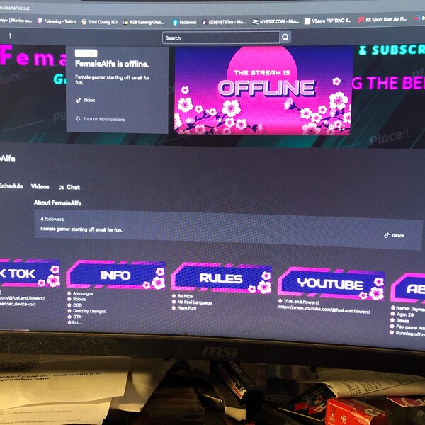 Stream Package, Twitch Overlay, Twitch Panels, Stream Overlay, Twitch ...