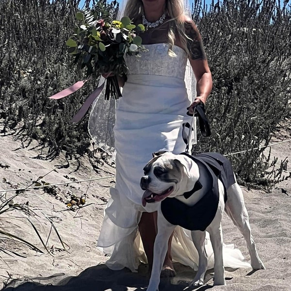 Dog Rugby Shirts. Dog Clothes. Dog Sweatshirts. Dog Outdoor Attire ...