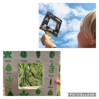 Nature Guide Finder, Leaf Finder, Cloud Viewer, Cloud Identification ...