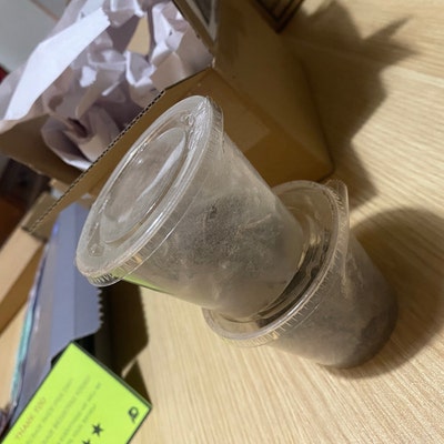 Small Oddities Mystery Box - Etsy