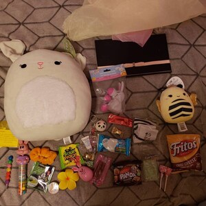 Squishmallow Mystery Box Gift and Snack Bundle 11 Inch Squishmallows ...