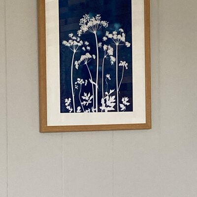 A3 Unmounted, Unframed Original Botanical Art Cyanotype Print - Etsy