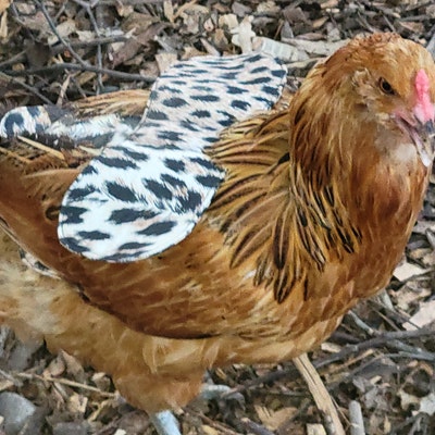 Hen Saddle, Chicken Apron Tail Guard AND Now Added Wing Guard PDF ...