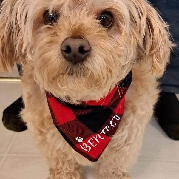 Personalized Pet Bandanas, Custom Dog Bandana, Puppy Snap Button ...