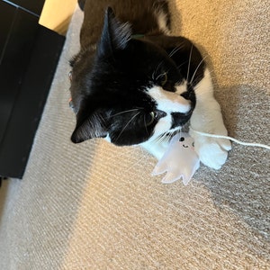 Teaser Wand Spider Cat Toy, Scary Spider Cat Toy, Dangling Teaser Wand ...