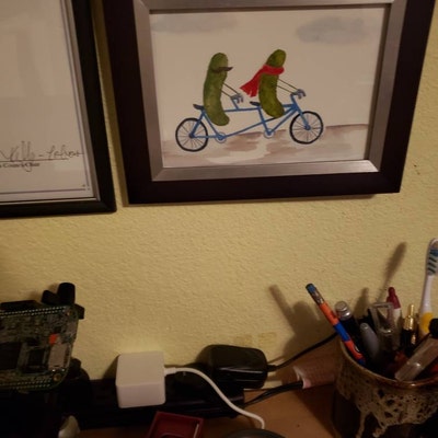 Whimsical Pickles on a Bicycle Built for Two Watercolor Art Print - Etsy