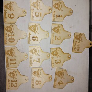 Shark Coochie Board Charcuterie Board - Etsy