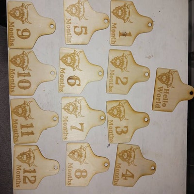 Shark Coochie Board Charcuterie Board - Etsy