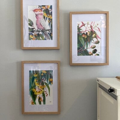 Gumnuts Print by Debra Meier Art, Australian Native Art Print ...