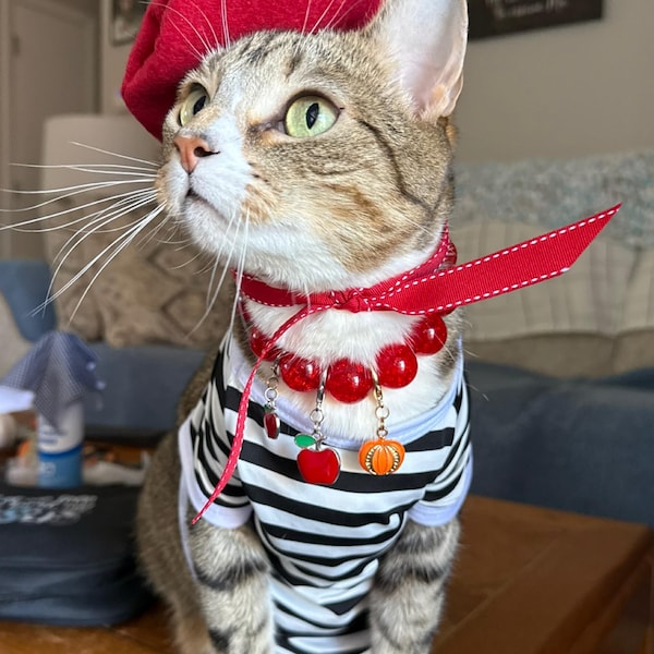 Complete French Cat Outfit- Cat Beret, Ascot and Striped Shirt Pet ...